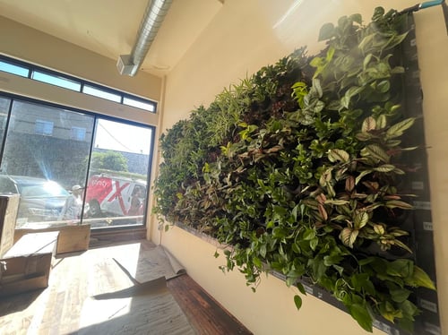 Green Wall Systems | Modular Living Walls for Biophilic Design