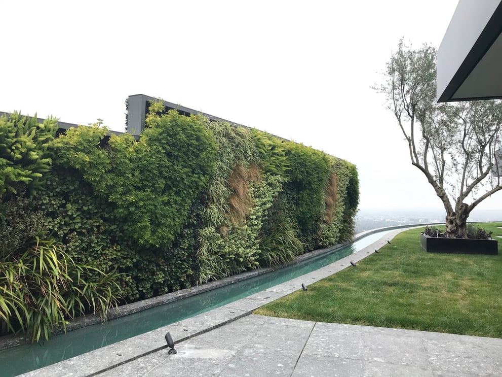 Green Wall Systems | Modular Green Walls for Biophilic Design