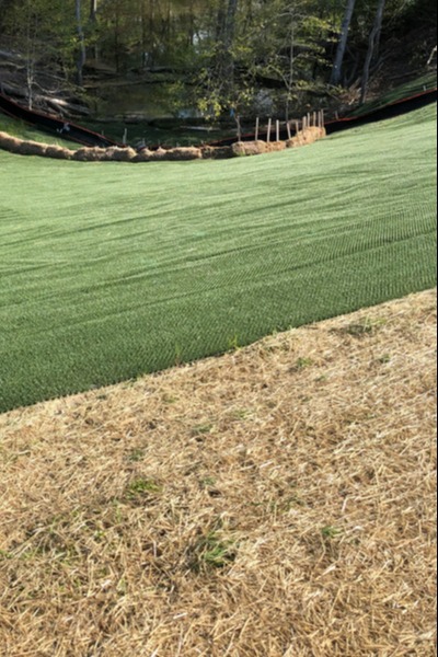 Hybrid Turf is the Best High Traffic Grass - Durable Grass